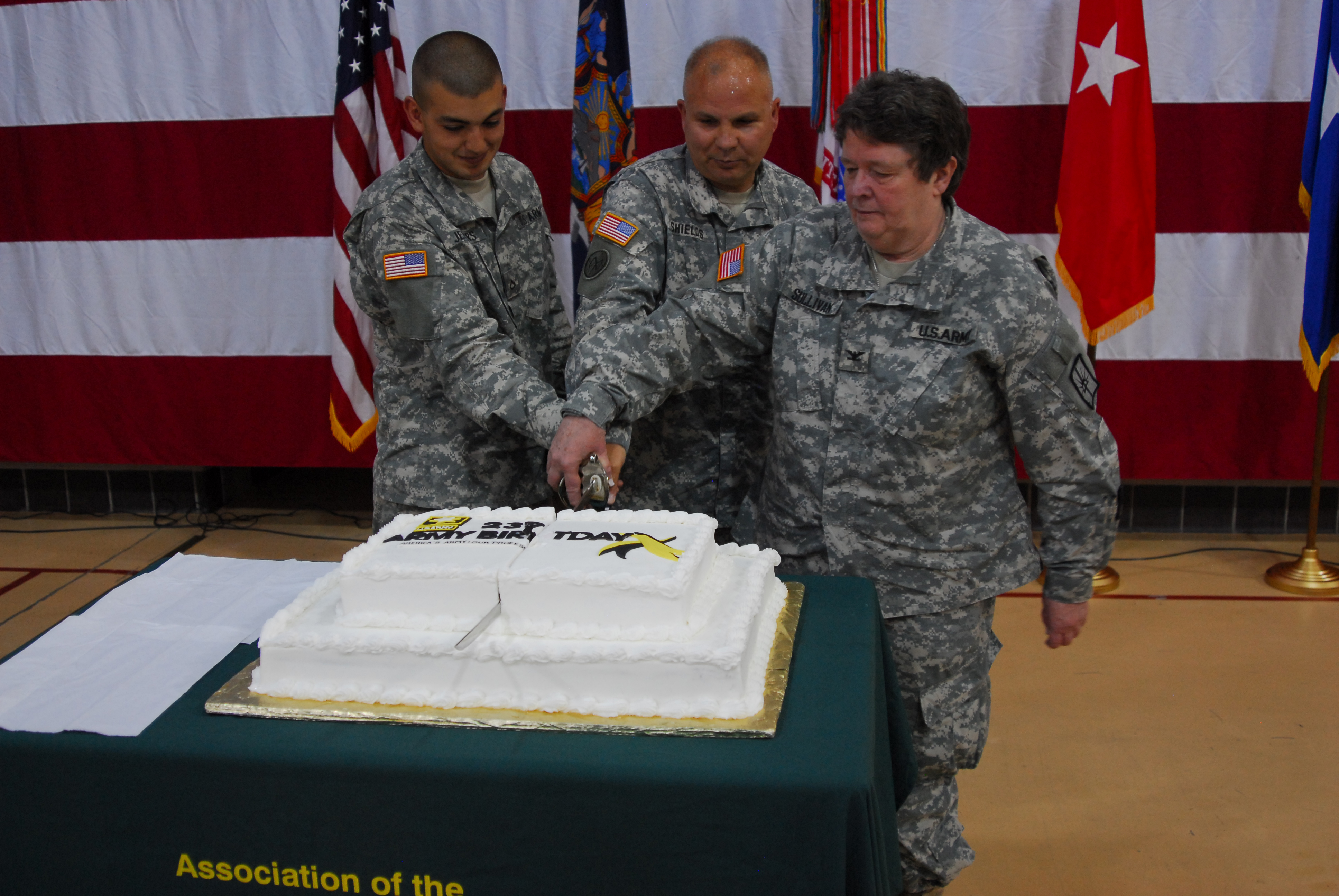 Army National Guard Col. Joan Sullivan, an Ithaca resident, joins in ...