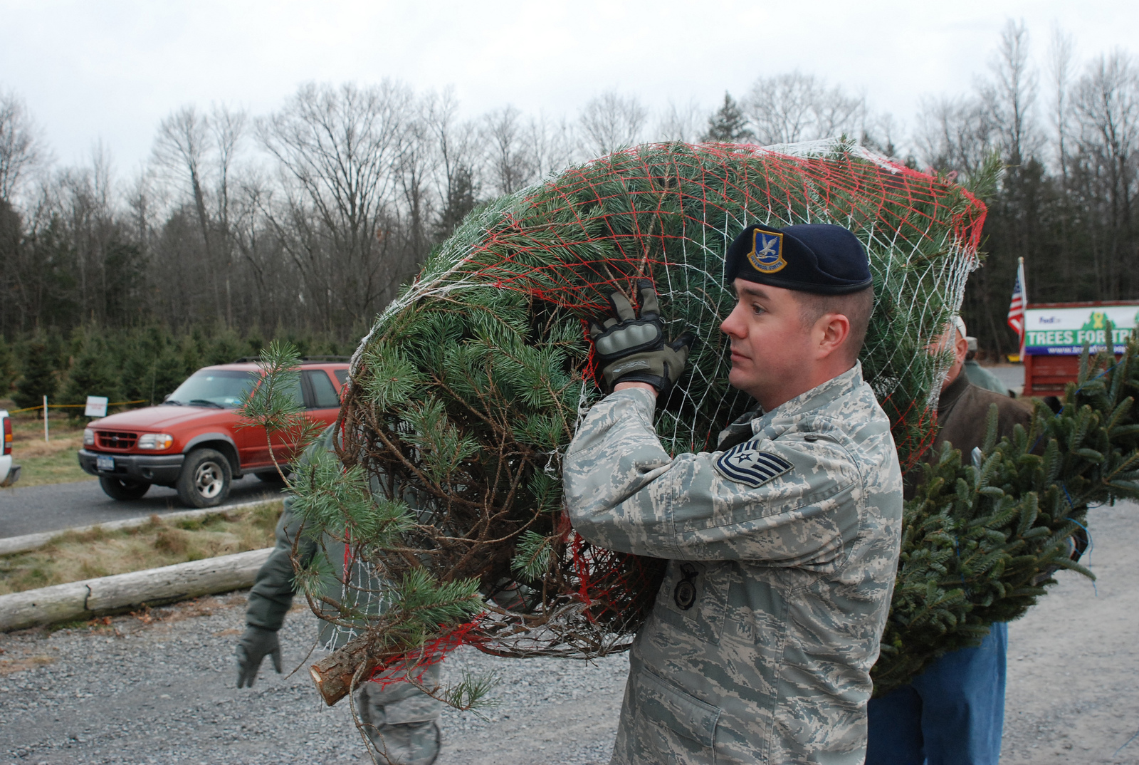 NY National Guard Volunteers Assist Loadout of Trees for Troops