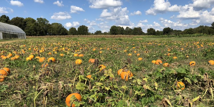 Cedar Hill Farm on Ticketbud