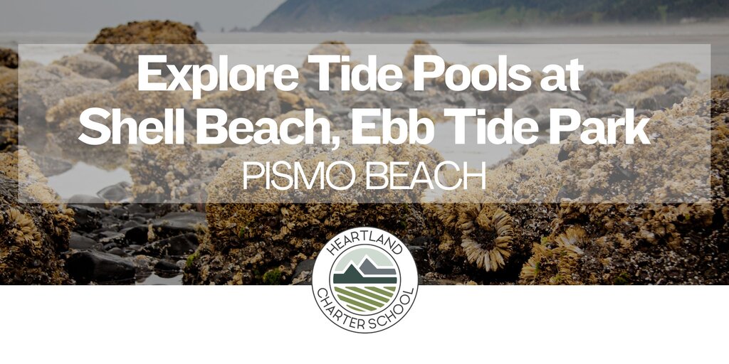 Explore Tide Pools at Shell Beach- Heartland Charter School | Get ...