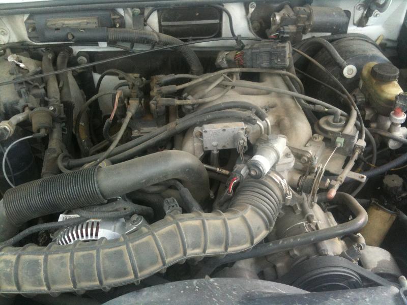 1999 Ford Ranger XLT - Used Auto Parts for Sale | Auto Gator ...