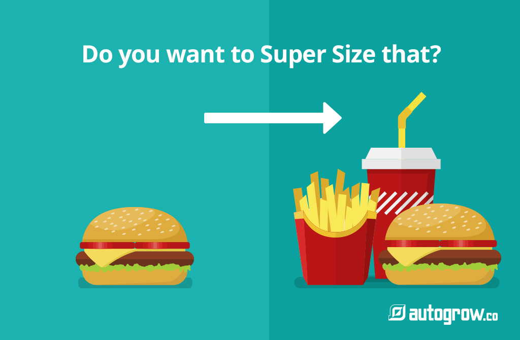 7 Best Examples Of Upsells To Help You Maximize Your Sales