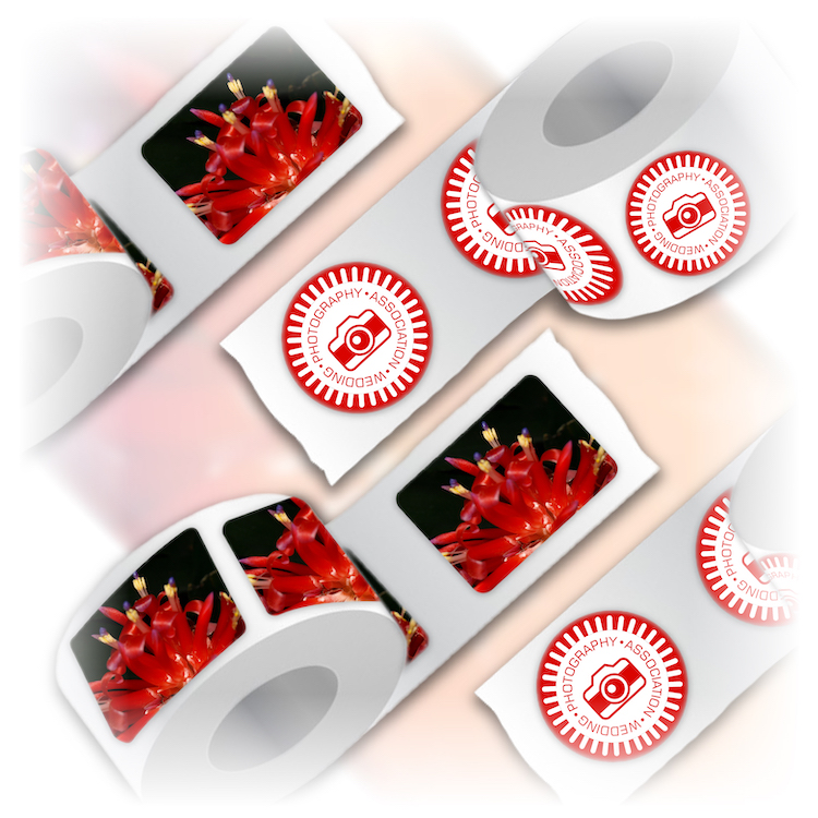 Online Printing Portal | Business Cards, Flyers, Marketing