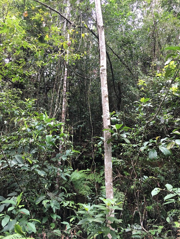 Olifant van dichtbij | Foto | Eline en Almar’s reisblog