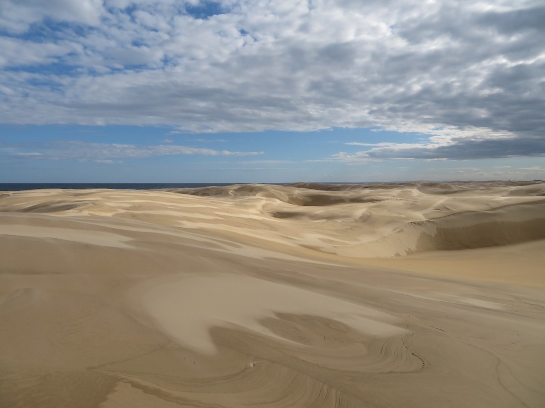 Worimi National Park | Foto | Anne's reisblog