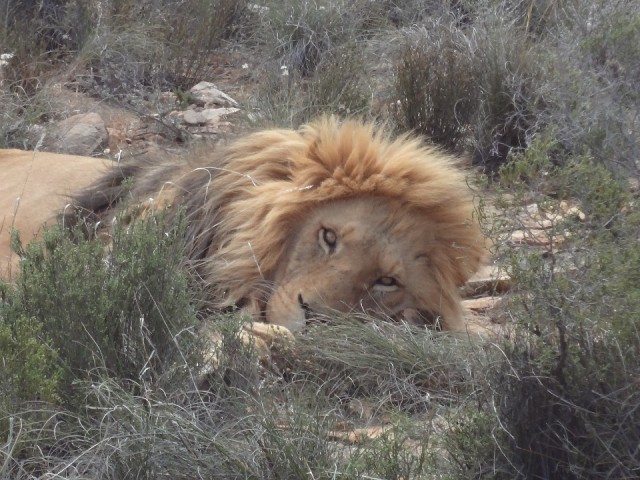 DSC03300 | Foto | Annelie de Rover’s reisblog