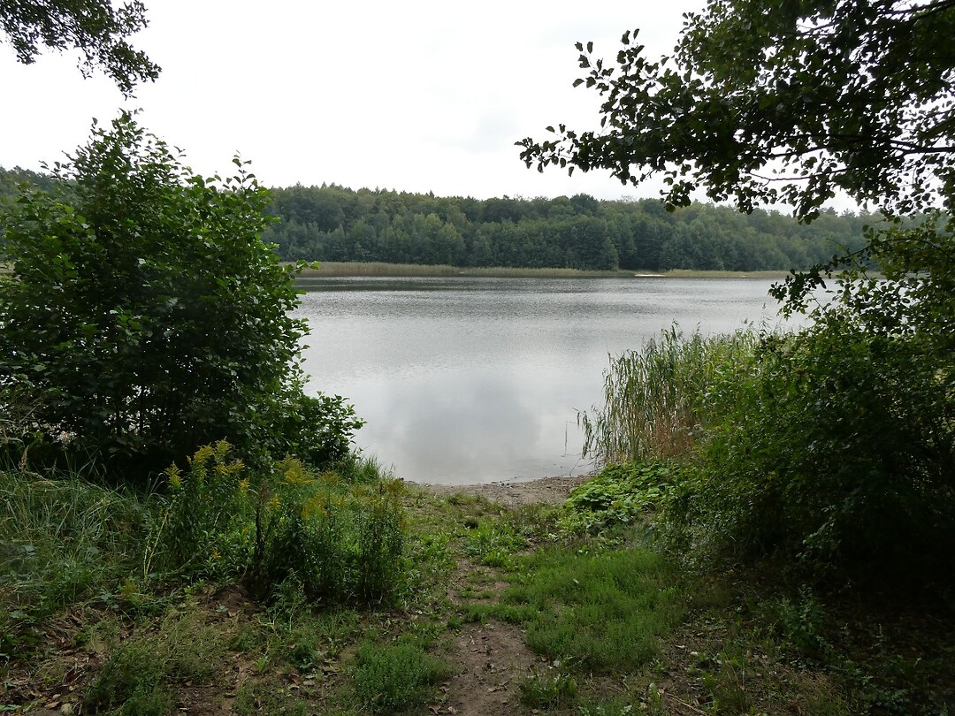 Het meertje onderweg naar Oranienburg | Foto | Annemiek Tubbing’s reisblog