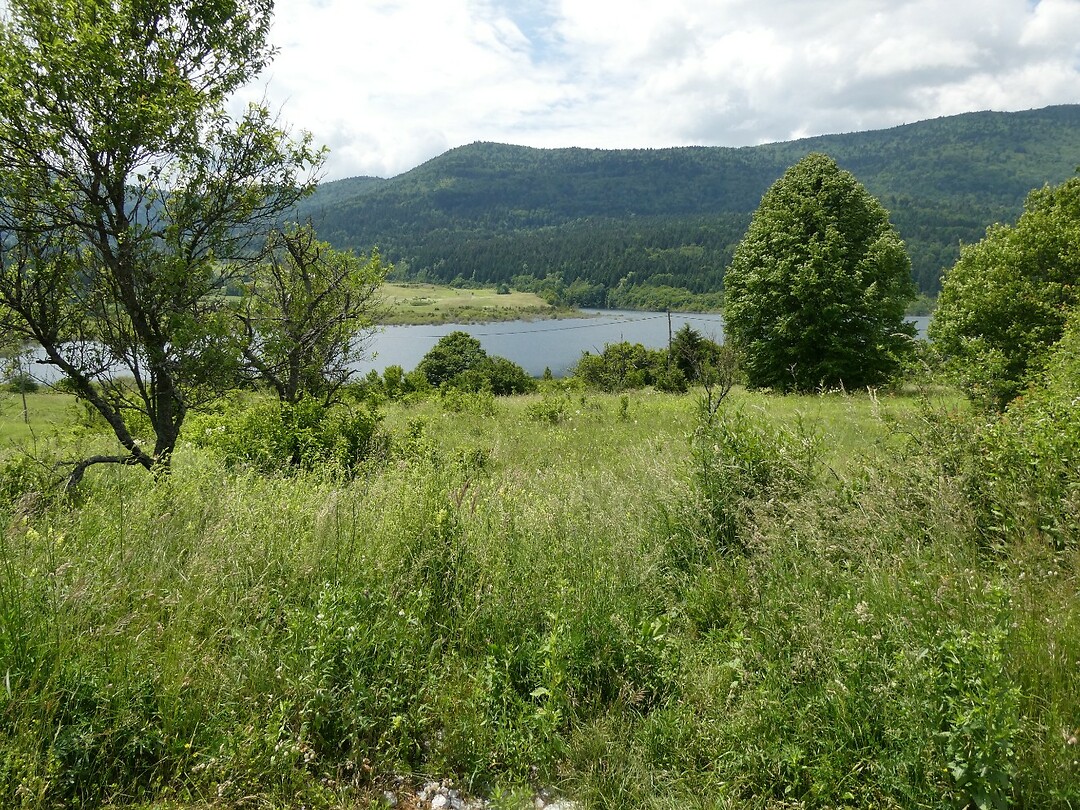Lunchplek onderweg naar Plitvice met veel wilde bloemen in de bermen en ...