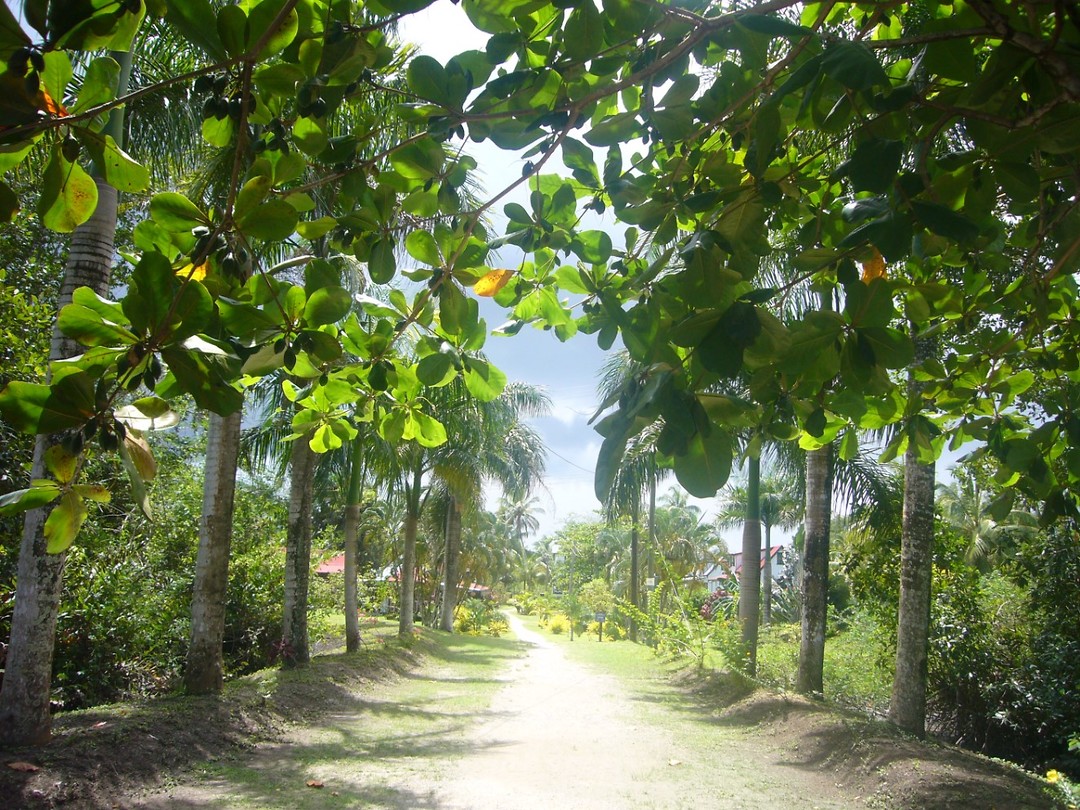 Vakantie in Paramaribo! | Reisverhaal | Anouk Brauer’s reisblog