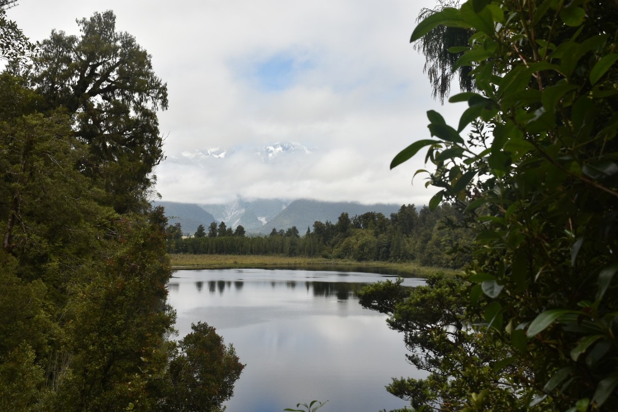 De foxgletsjer | Reisverhaal | Cees Timmer en Arco Eelman’s reisblog