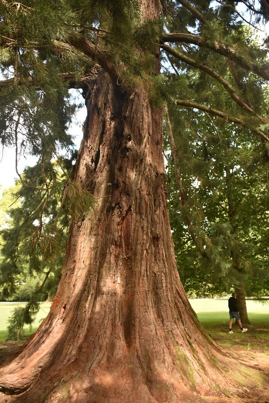 Aardbevingenland | Reisverhaal | Cees Timmer en Arco Eelman’s reisblog