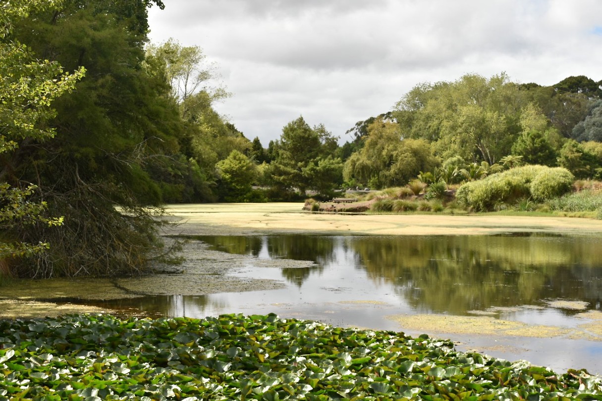 Ohakune | Reisverhaal | Cees Timmer en Arco Eelman’s reisblog