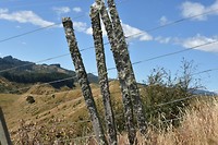 Ohakune | Reisverhaal | Cees Timmer en Arco Eelman’s reisblog