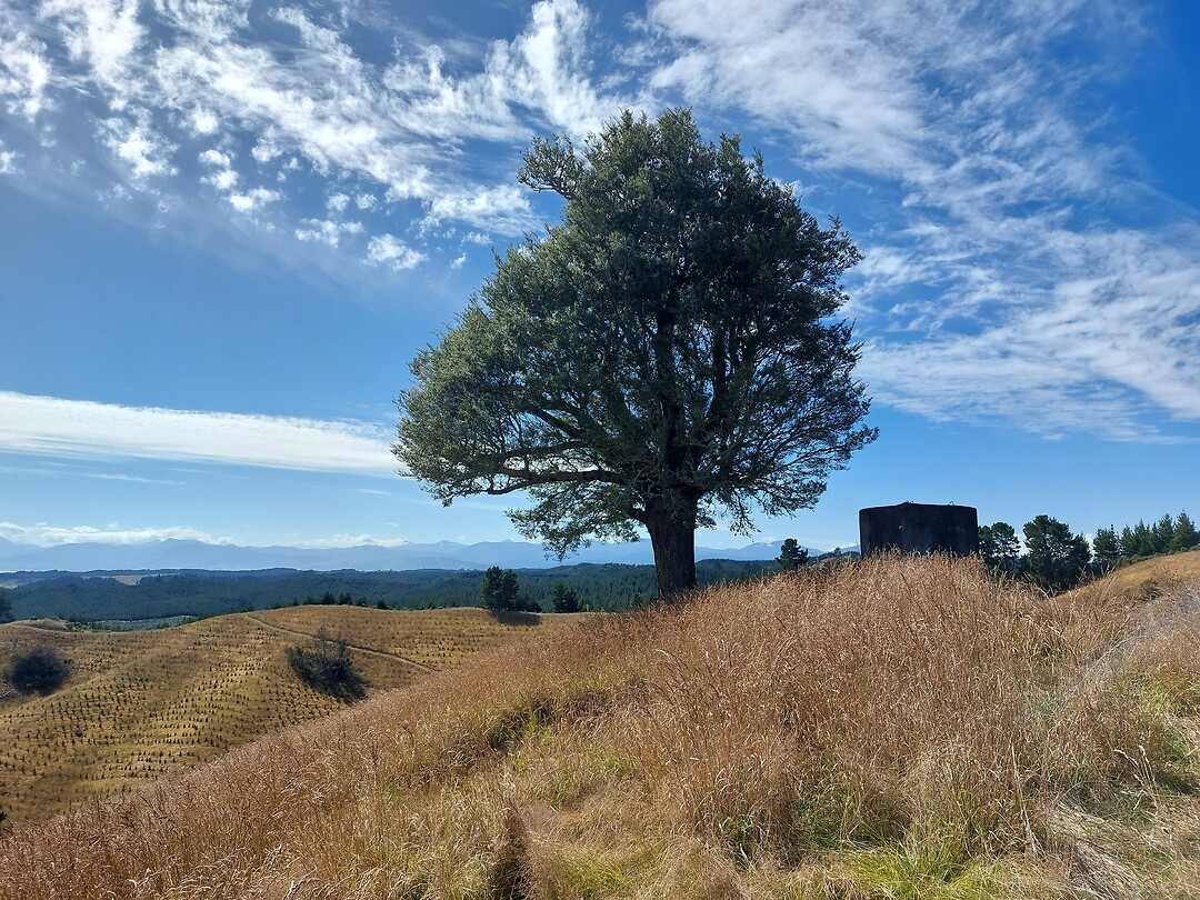 Het nieuwe land | Foto | Cees Timmer en Arco Eelman’s reisblog
