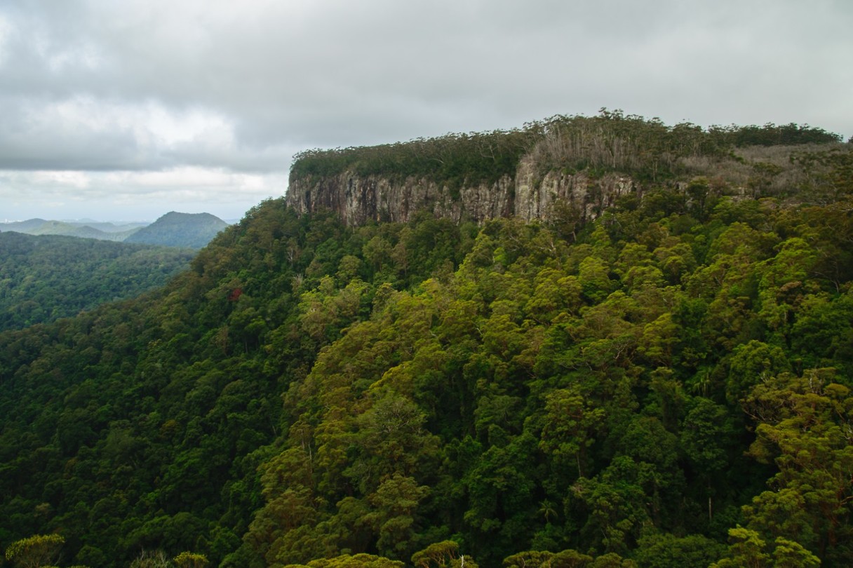 Mooi uitzicht Springbrook NP | Foto | Autist op Avontuur