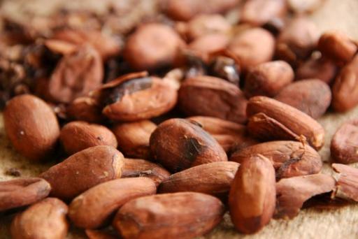 Cacaobonen | Foto | Aventura Loca