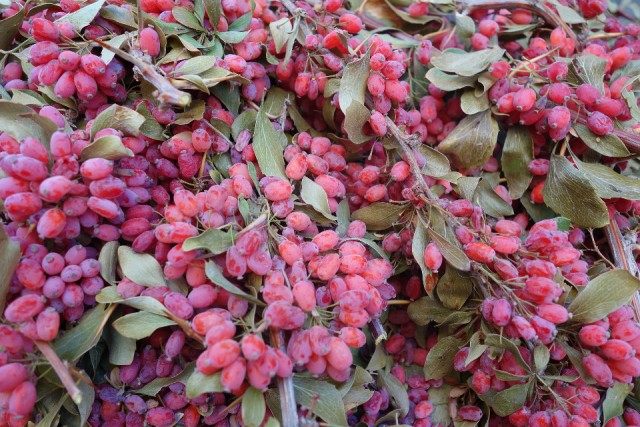 Een tweede reis in Iran | Reisverhaal | Axel Lynen’s reisblog