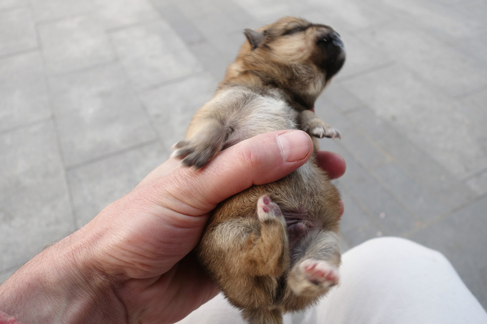 China | Foto's | Axel Lynen’s reisblog