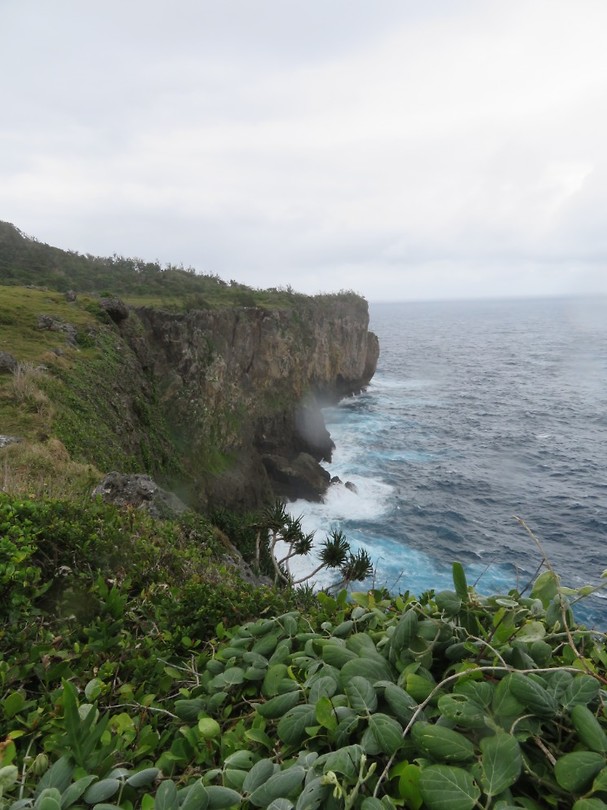 Umu | Reisverhaal | benne-met-leki-op-tonga