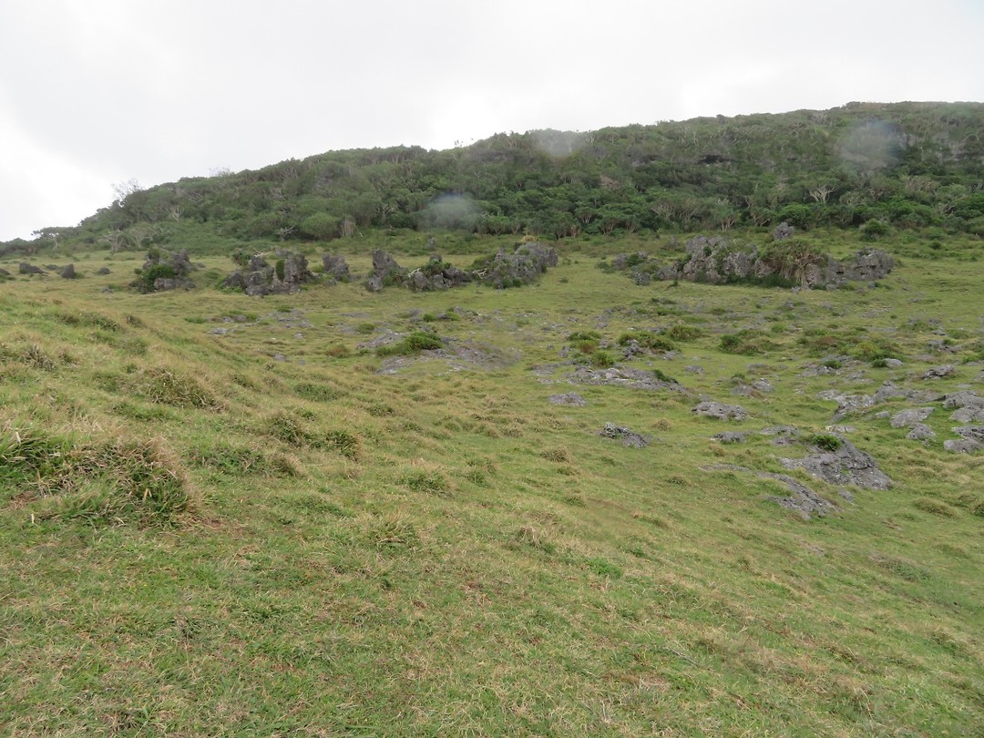 Umu | Reisverhaal | benne-met-leki-op-tonga