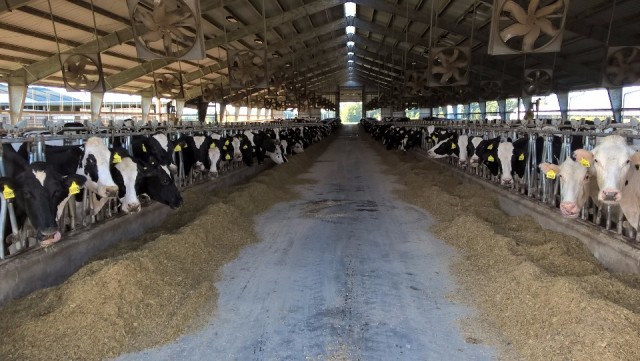 Fam. Van der Hoff, deel 2 (7 t/m 10 augustus) | Reisverhaal | Boer ...