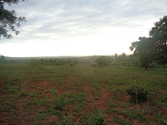 In Schoemansdal | Reisverhaal | Bram Klapwijk’s reisblog