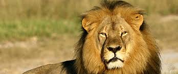 Witrivier | Reisverhaal | Chantal en Dennis in Zuid Afrika