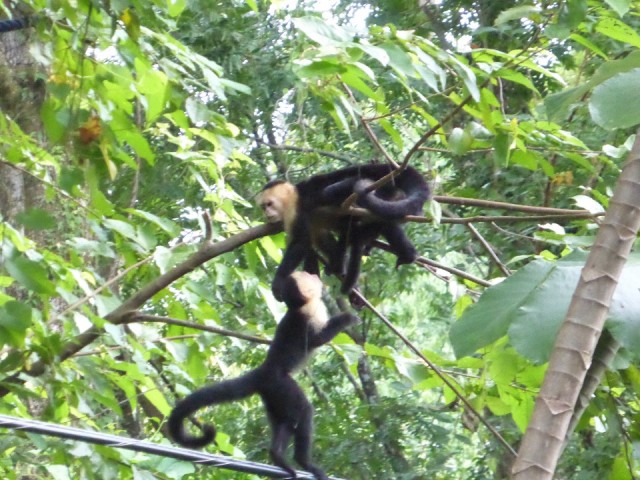 Krabi tempel | Foto | Anne, Chris, Scott & Robin’s reisblog