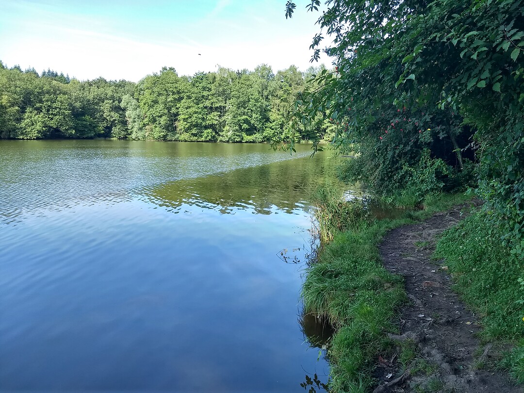 15-8-2021 wandeling Stausee Losheim - Scheiden - Seegarten, 18,5 km ...