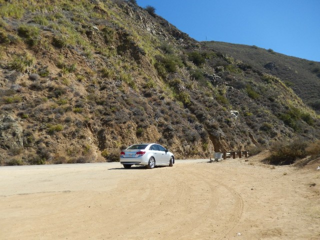 Onze waggie | Foto | Danny&Cherrelle in the USA!