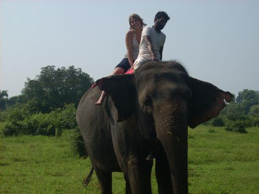 Olifant rijden | Foto | Denise in India!