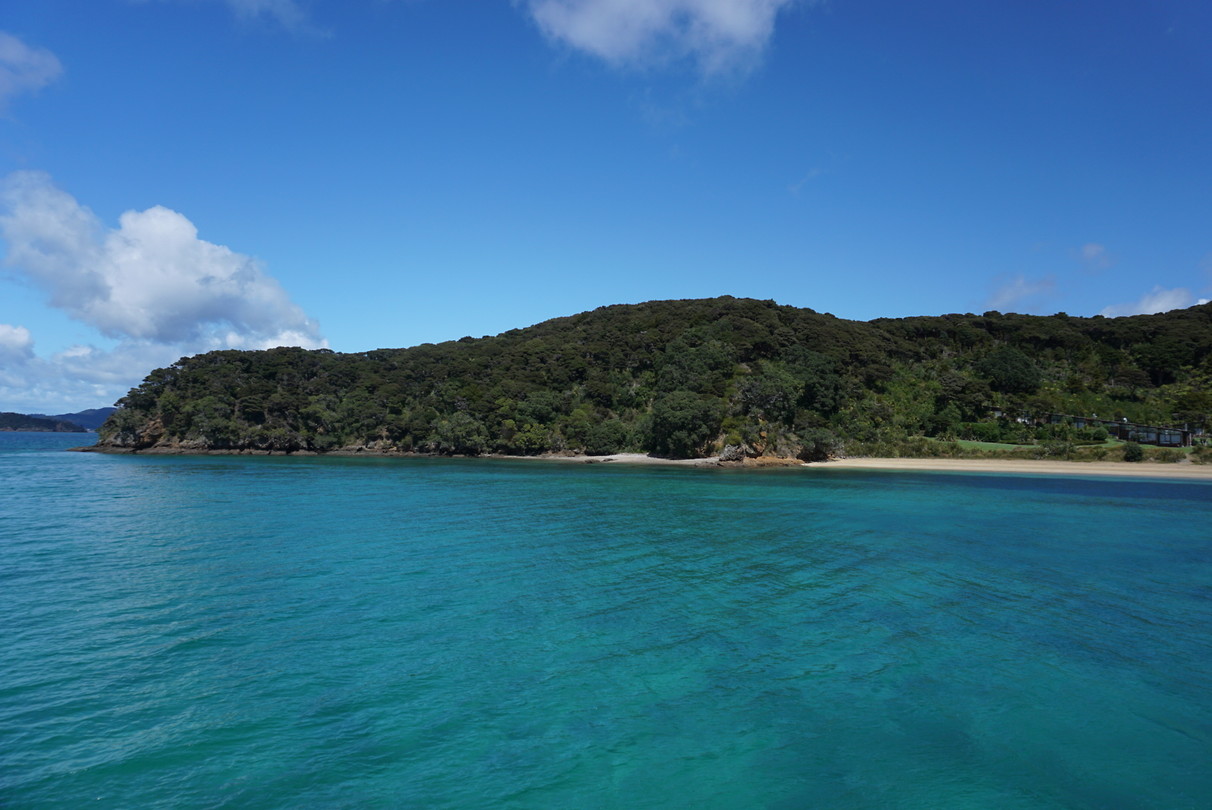 It's green everywhere! | Reisverhaal | Dénise; Australia & New Zealand