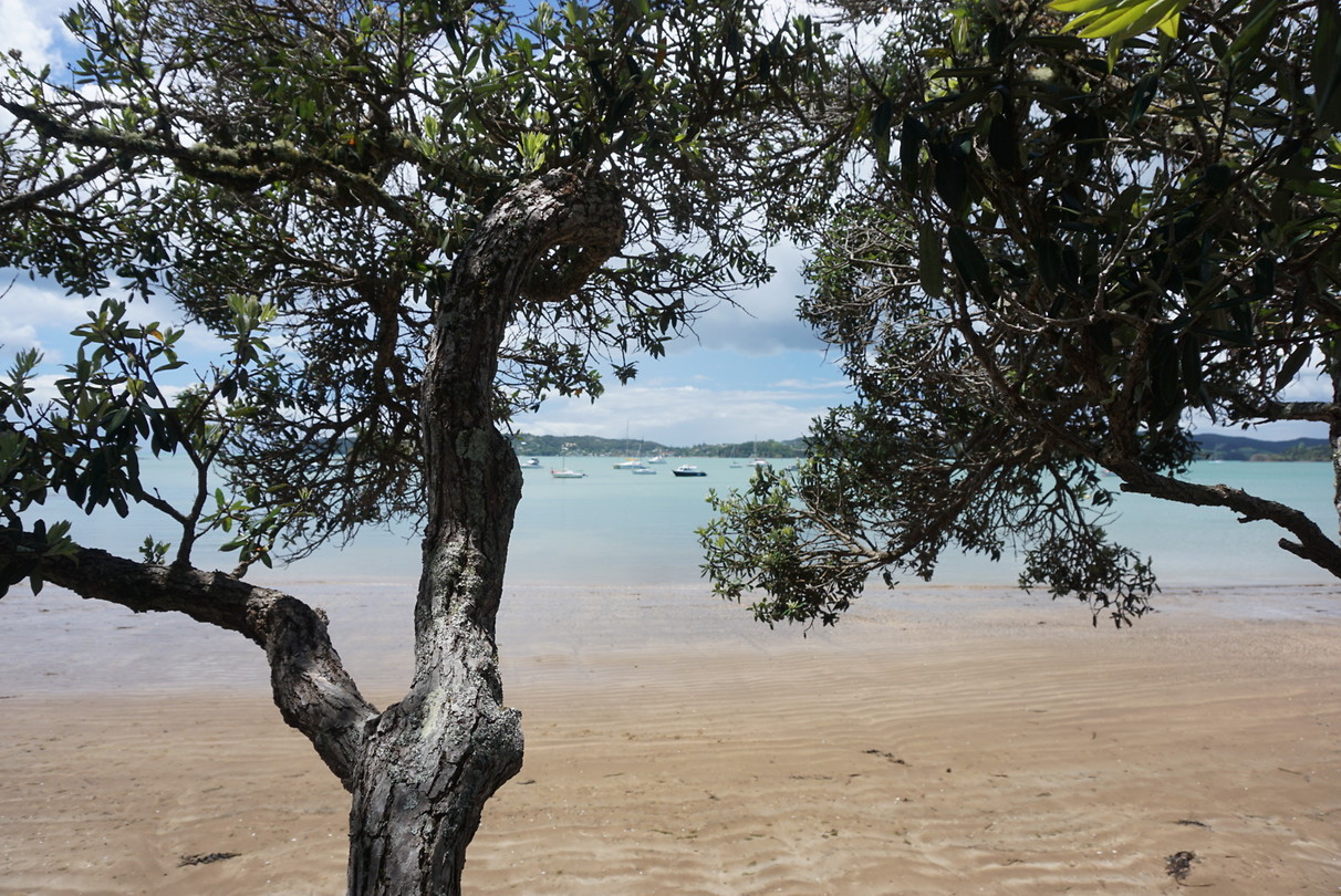 It's green everywhere! | Reisverhaal | Dénise; Australia & New Zealand