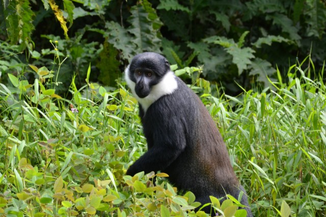 Rwanda, Burundi and Western Tanzania | Reisverhaal | Anouk en Richard’s ...