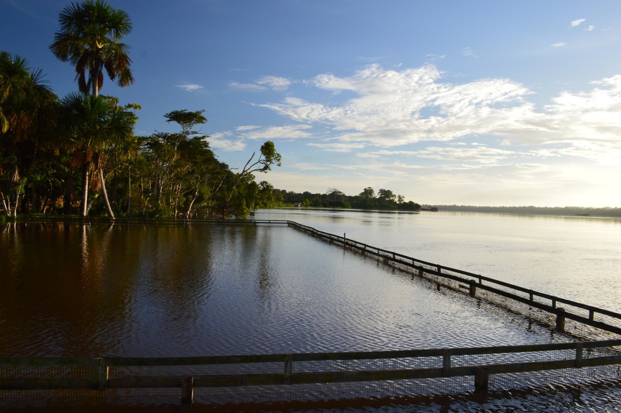 De Suriname Rivier vanaf OverBridge River Resort | Foto | Ees & Wurn's ...