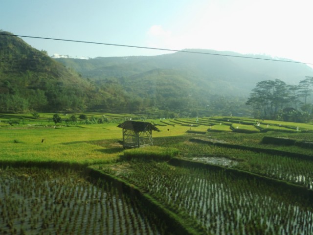 Landschap vanuit de trein | Foto | Onze Java-Bali trip