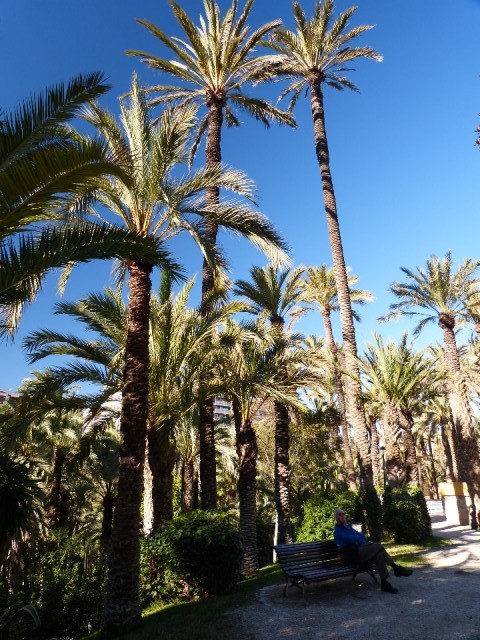 Kerst in Valencia | Reisverhaal | Enjoytheworld