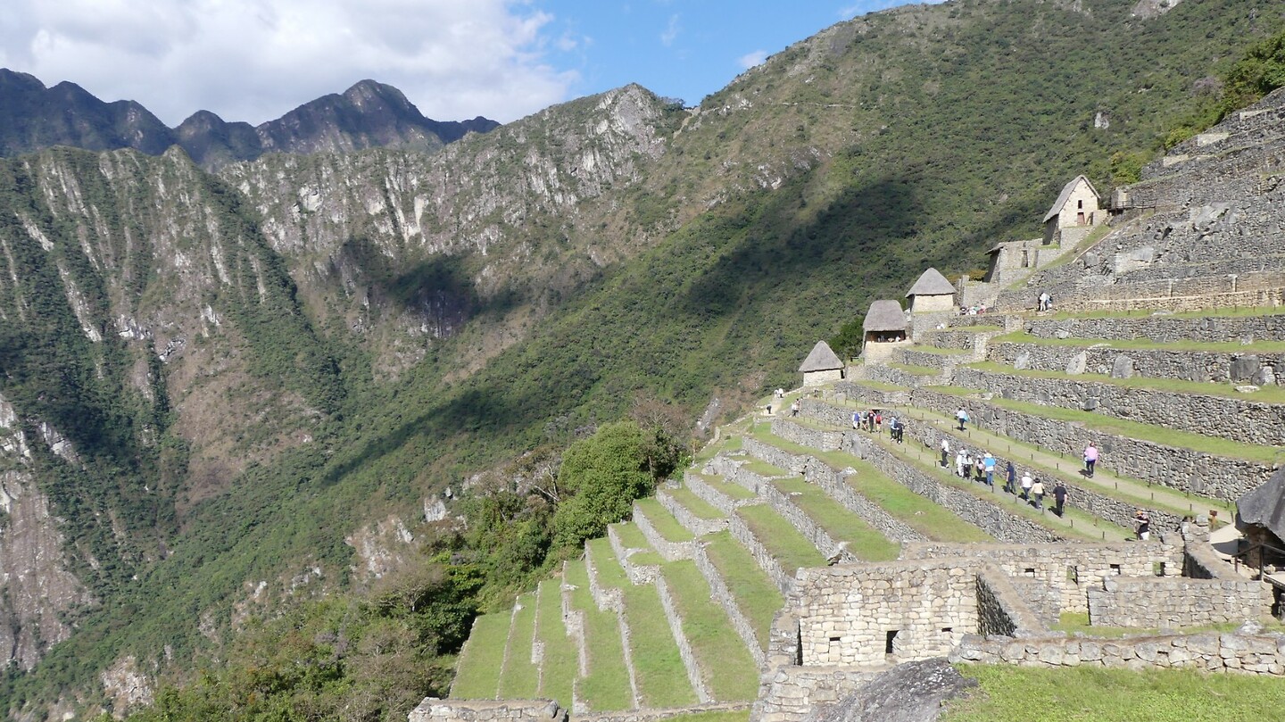 Neusbeer | Foto | Enjoytheworld