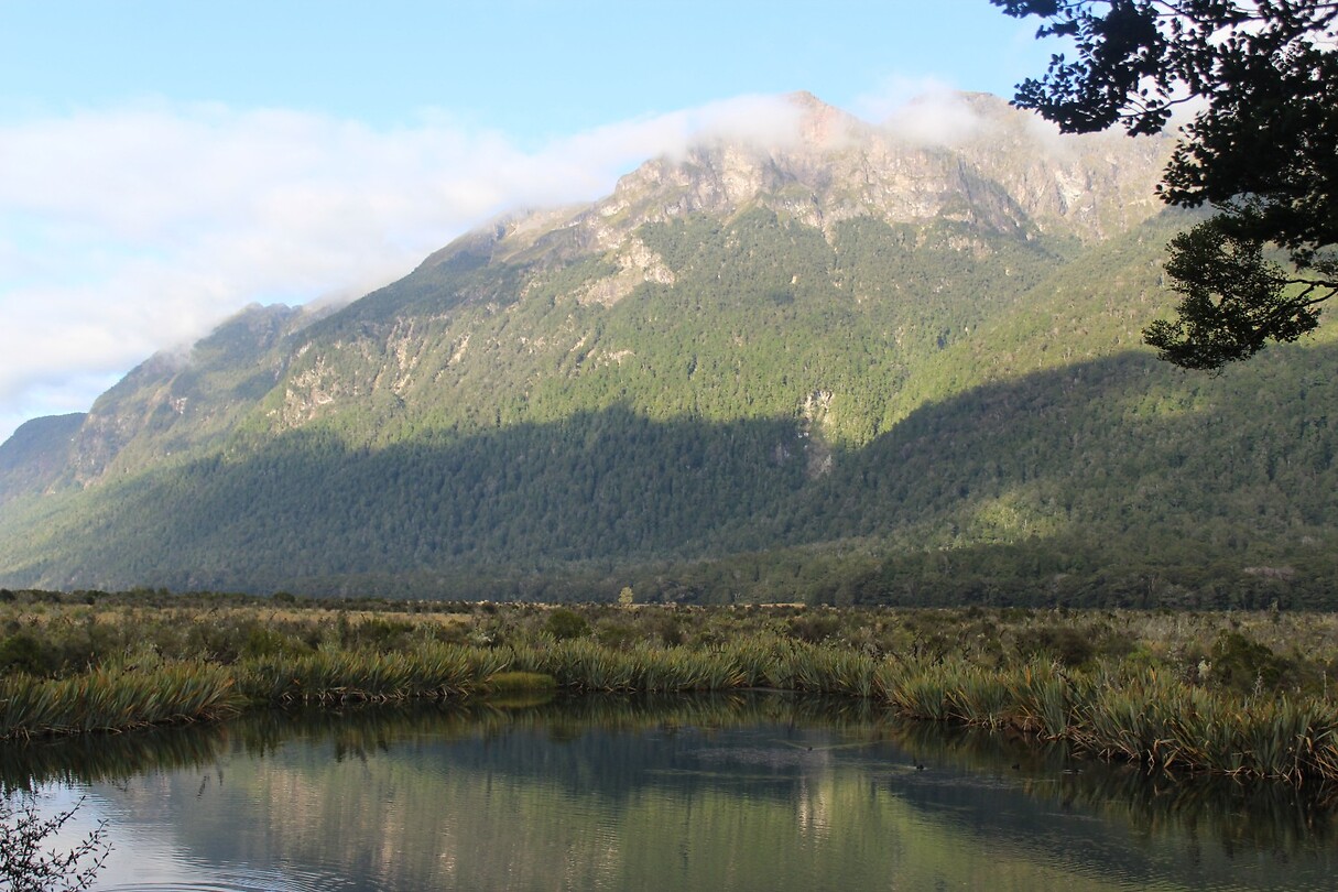 Milford Sound (230) | Foto | Floris & Paulien Custers’s reisblog