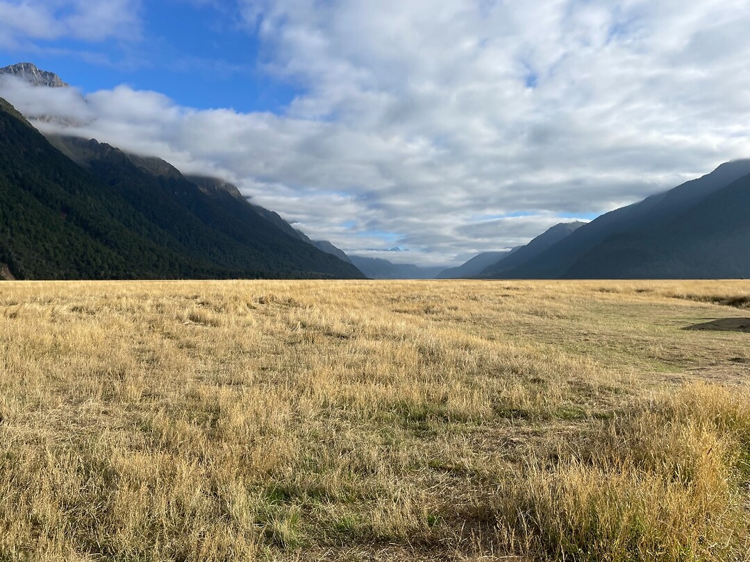 Milford Sound (246) | Foto | Floris & Paulien Custers’s reisblog