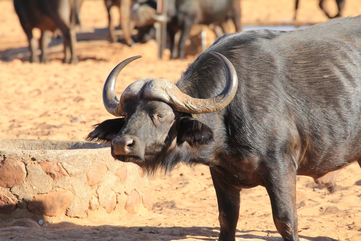 Een rondreis door Namibië | Foto's | Het reisblog van Fred en Evelien Smith