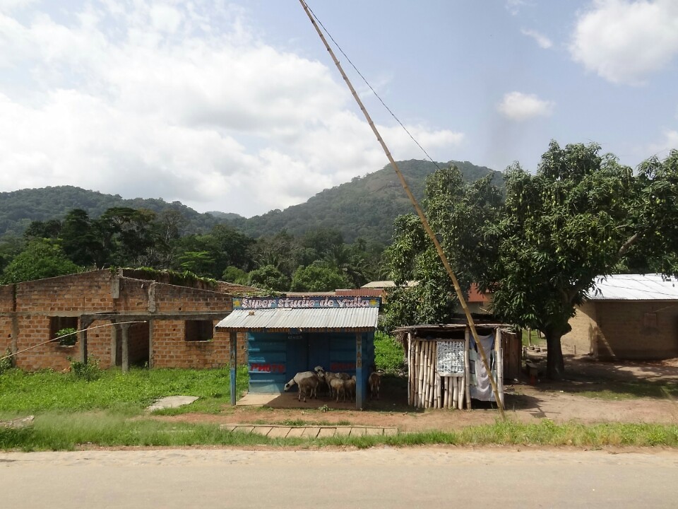 image | Foto | Free-On-Wheels