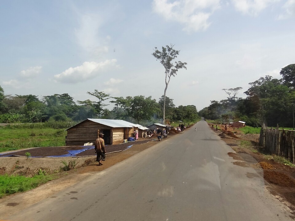 image | Foto | Free-On-Wheels