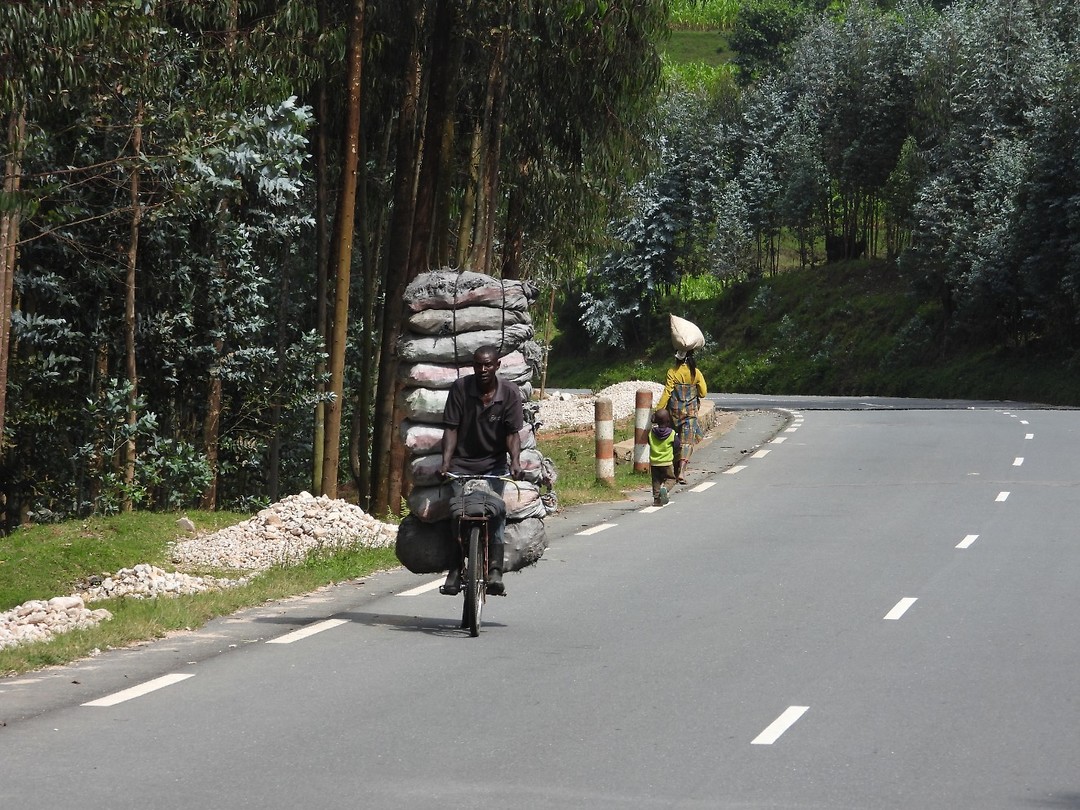 DSCN1780 | Foto | Free-On-Wheels