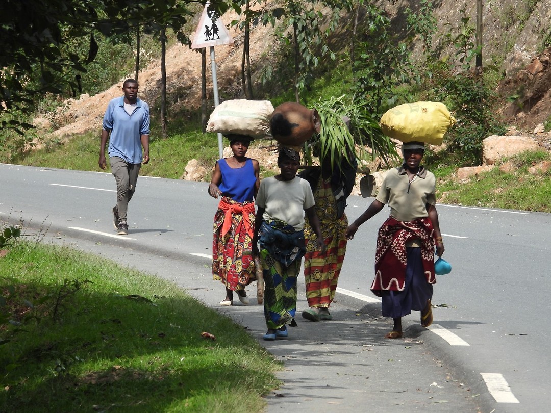 DSCN1790 | Foto | Free-On-Wheels
