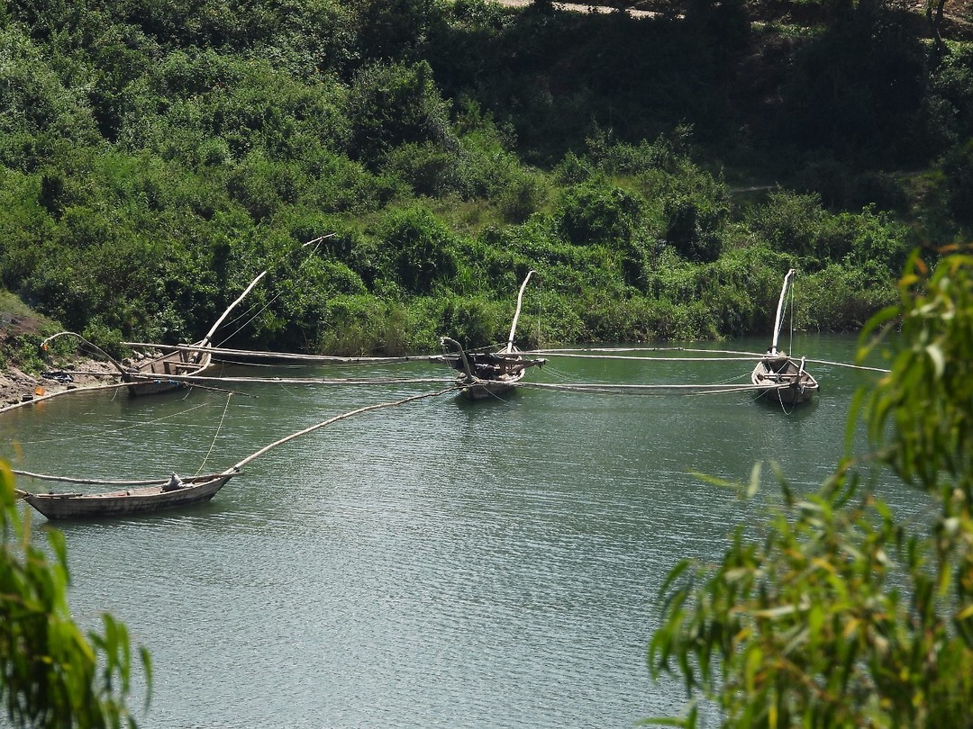 DSCN1992 | Foto | Free-On-Wheels