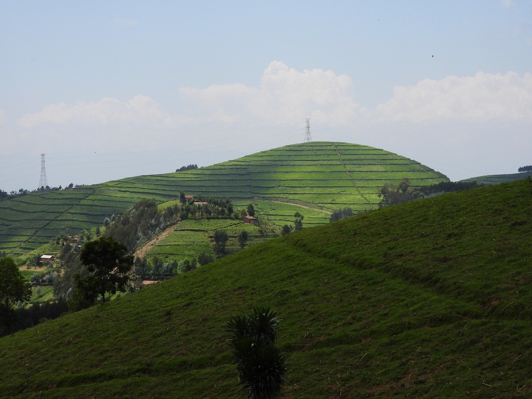 DSCN2107 | Foto | Free-On-Wheels