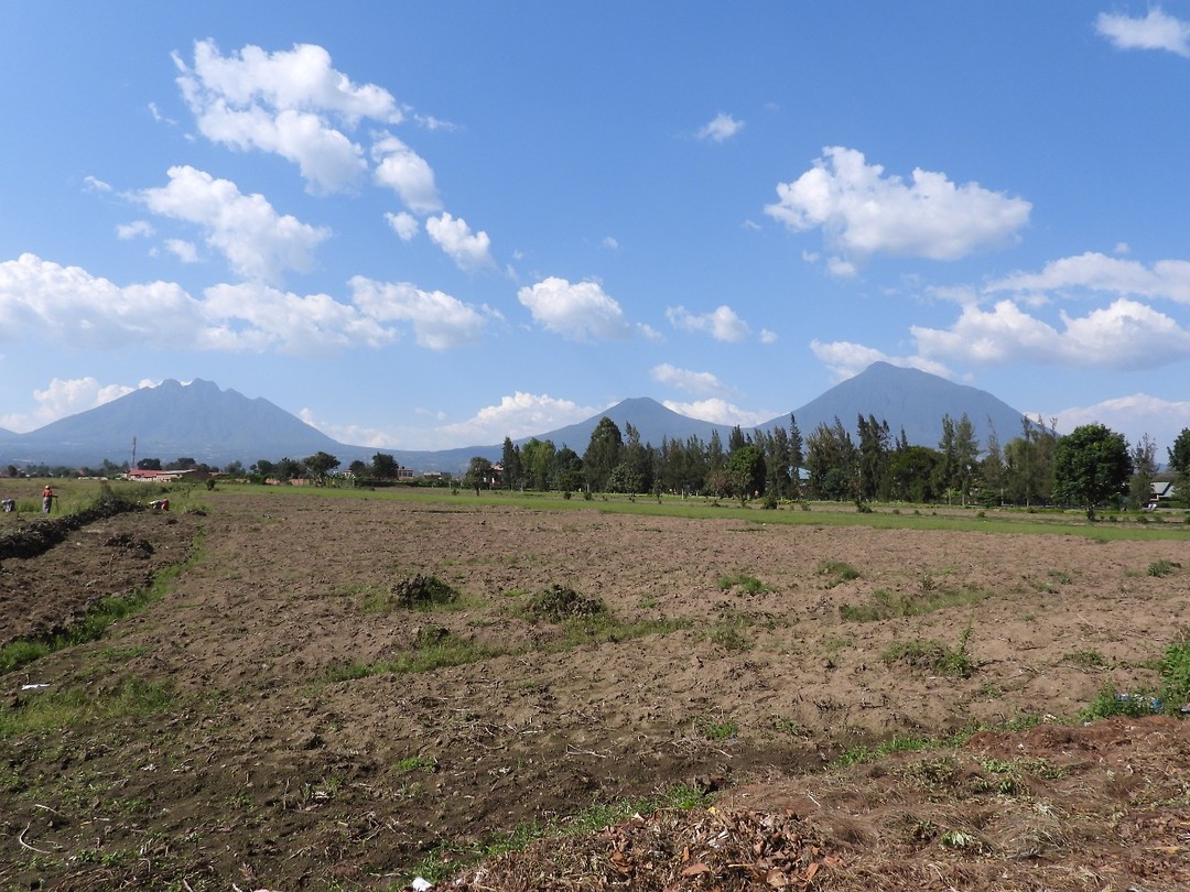 DSCN2127 | Foto | Free-On-Wheels