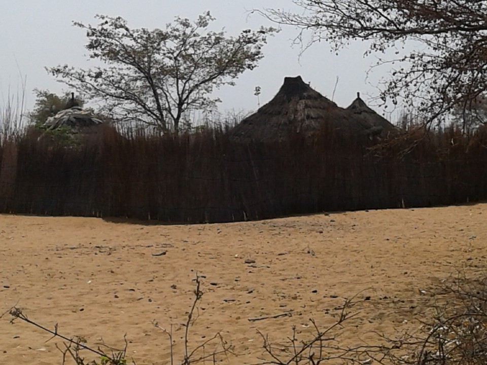 Buffalo Core area | Reisverhaal | Anneke Siegmund-van Dijck’s reisblog