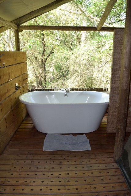 Dag 15 - Summerfield Spa | Reisverhaal | Gerhard’s reisblog